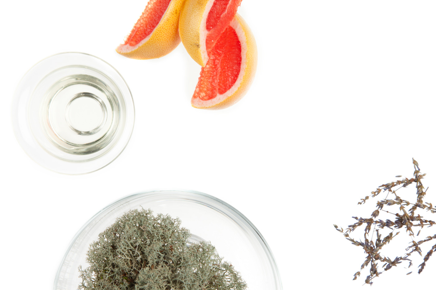 grapefruit citrus ingredient background photo herbs - STOCKIST PHOTO